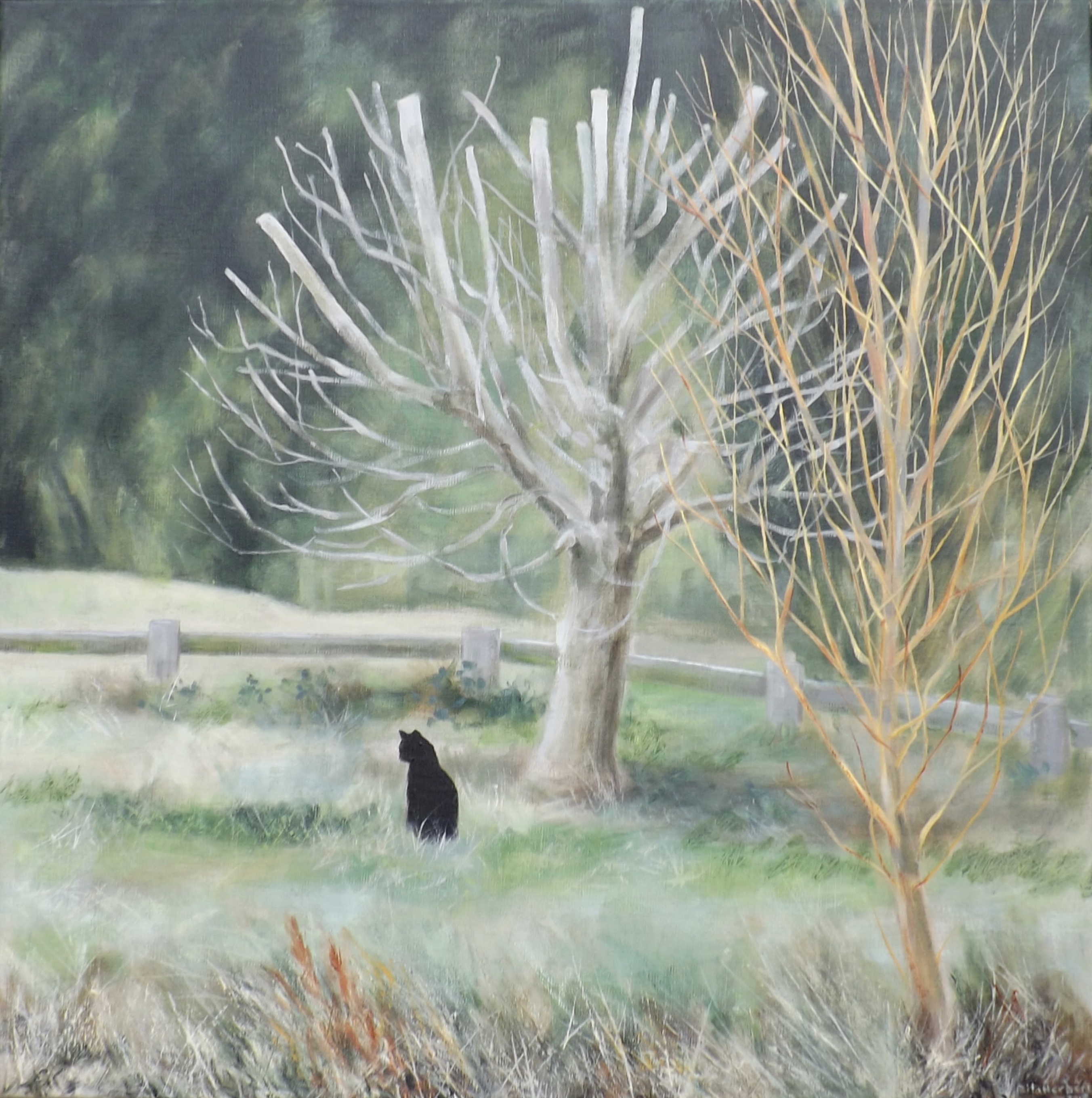 ‘Pussy Willow’ 70x70cm acrylic painting | ritasspot, a blog about ...